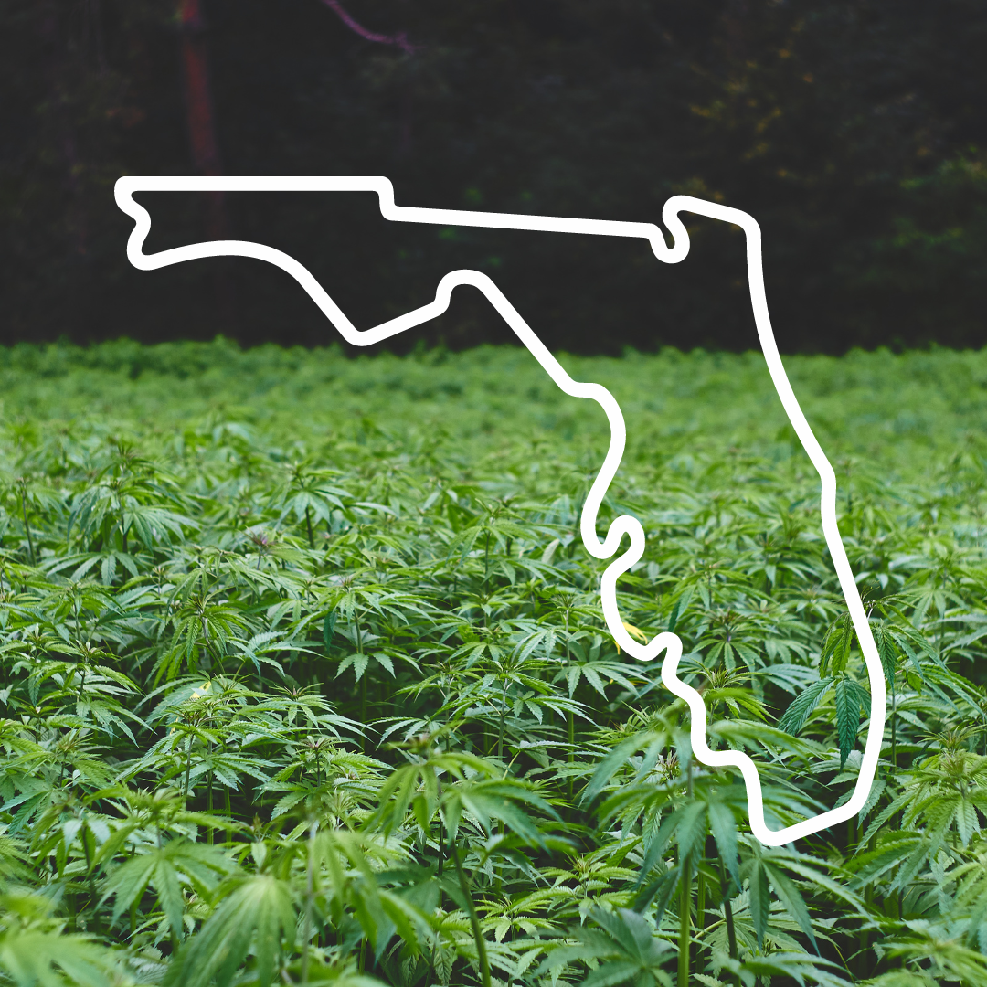 National Florida Day – The GramCo